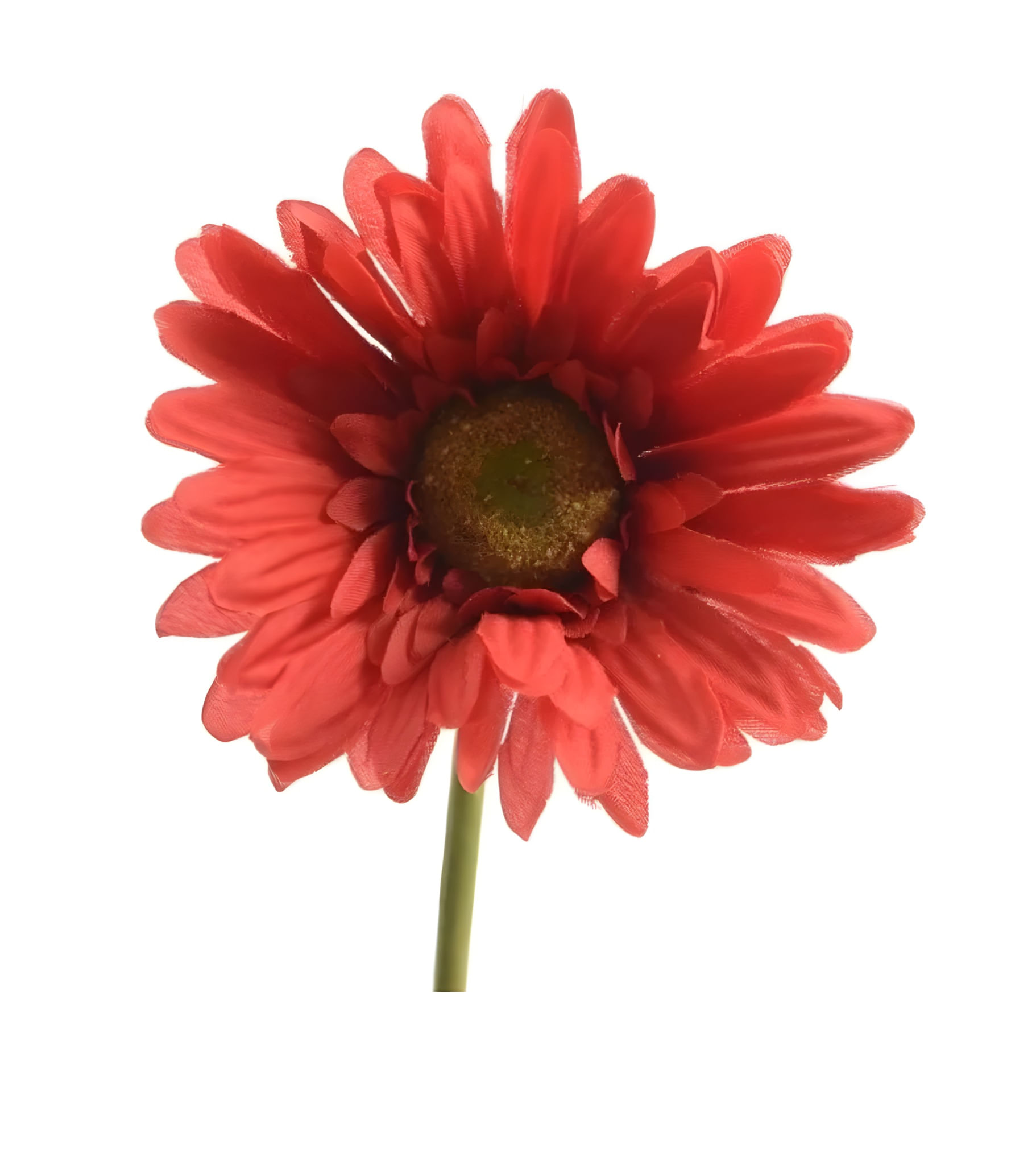 Flor Gerbera En Tallo 50Cm Roja