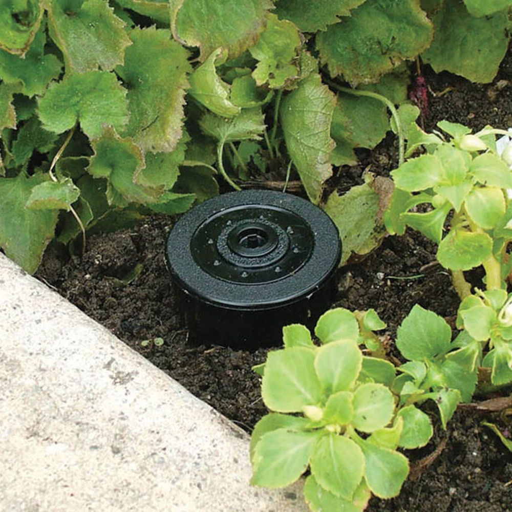 Sprinkler key hider